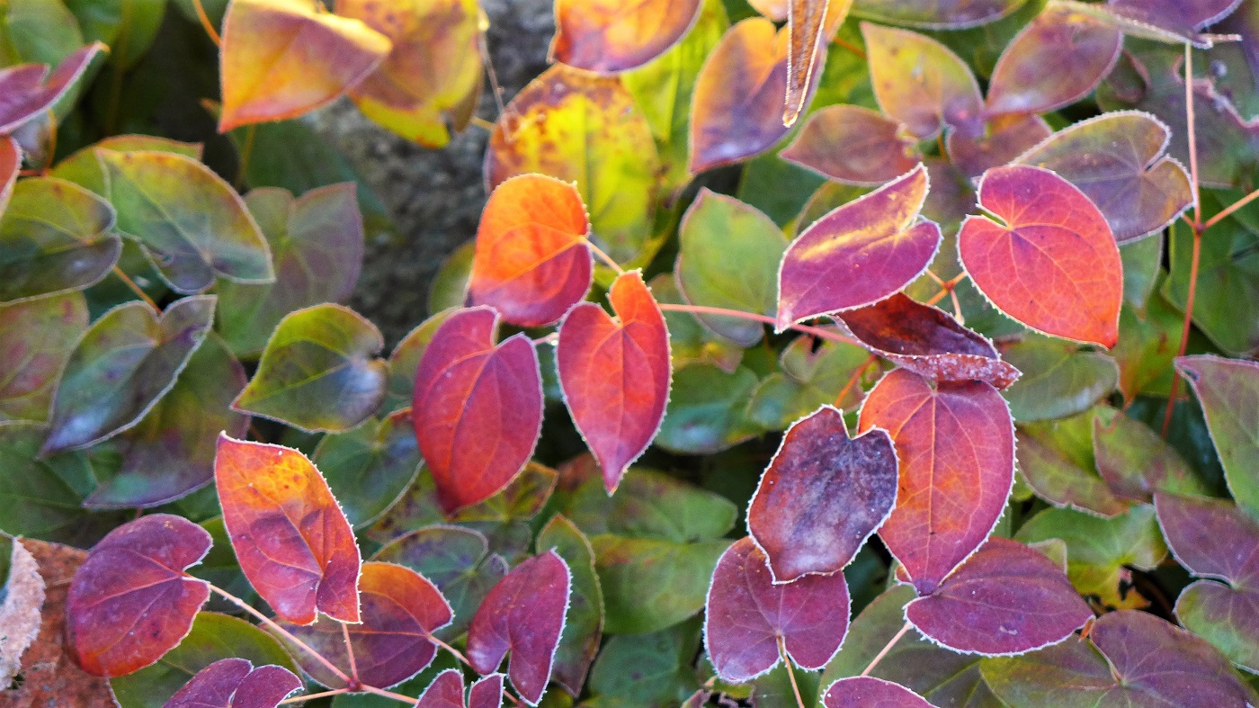 Suchergebnisse | E-Learning@THWS